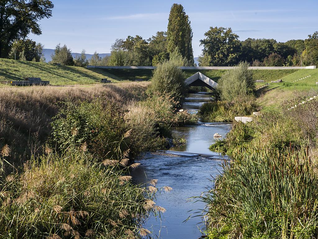 Le Foron reprend ses aises entre Genève et la Haute-Savoie - SWI ...