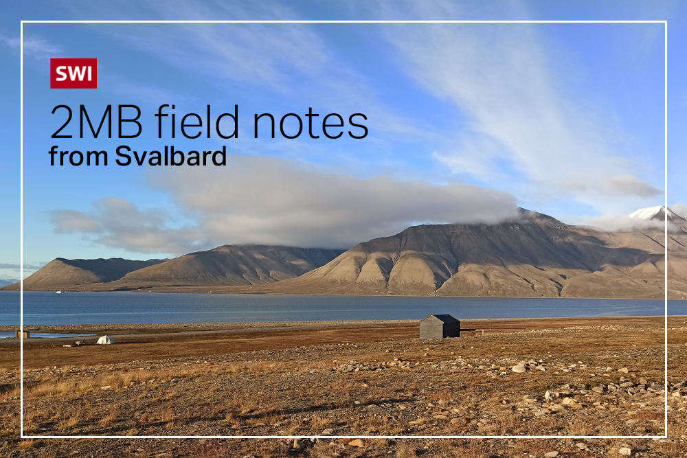 The challenges of research in treeless landscapes - SWI swissinfo.ch