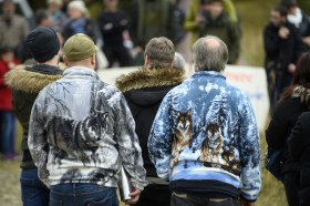 Swiss parliament gives greenlight to wolf culling - SWI swissinfo.ch