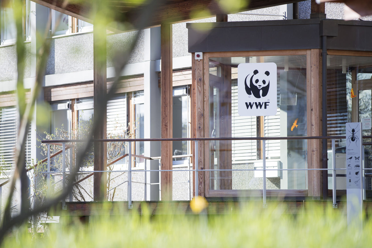 WWF demands more ambition from Swiss companies - SWI swissinfo.ch