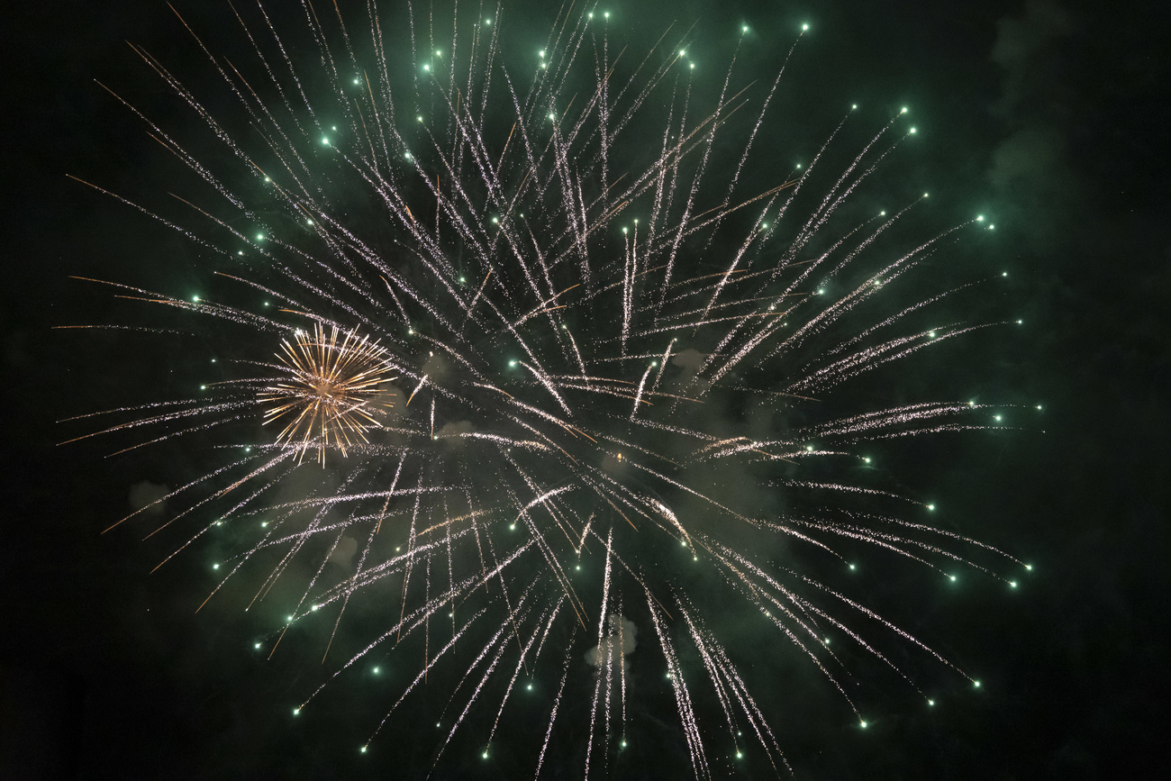 Firework ban initiative gets 100,000 signatures - SWI swissinfo.ch